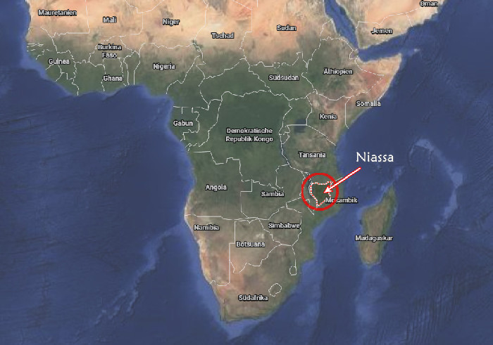 A Reserva Especial do Niassa: O Último Bastião Selvagem de África